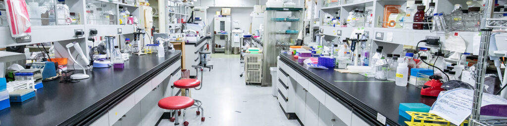 INSTRUMENT – Biochemical Engineering Lab., Dept. of Biotechnology ...